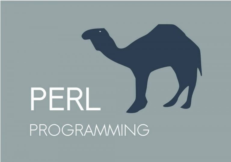 PERL – What you should know about it – Truxgo Server Blog
